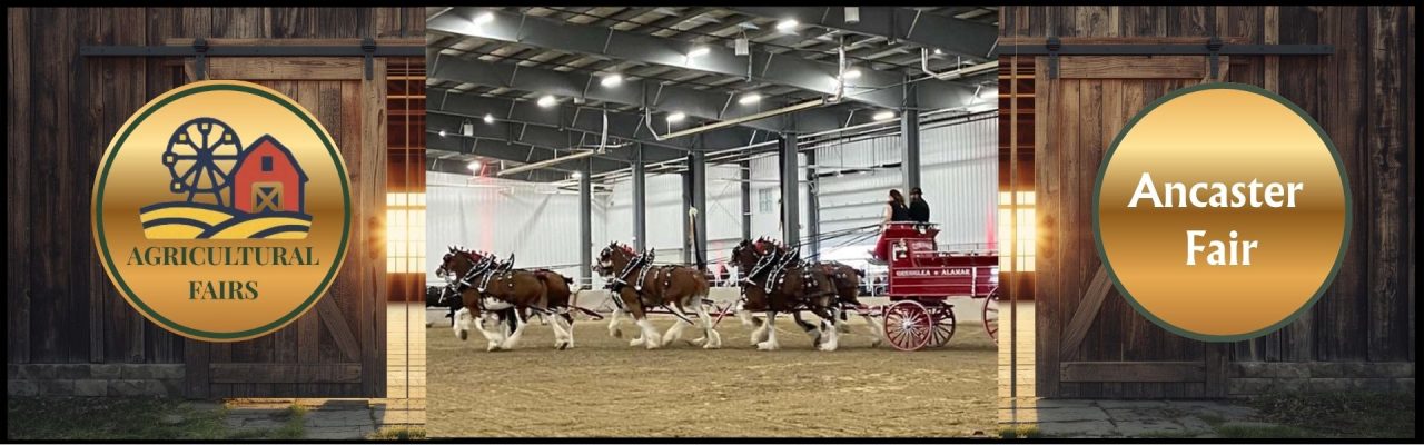 Ancaster Fair Showcase | Ontario Agritourism
